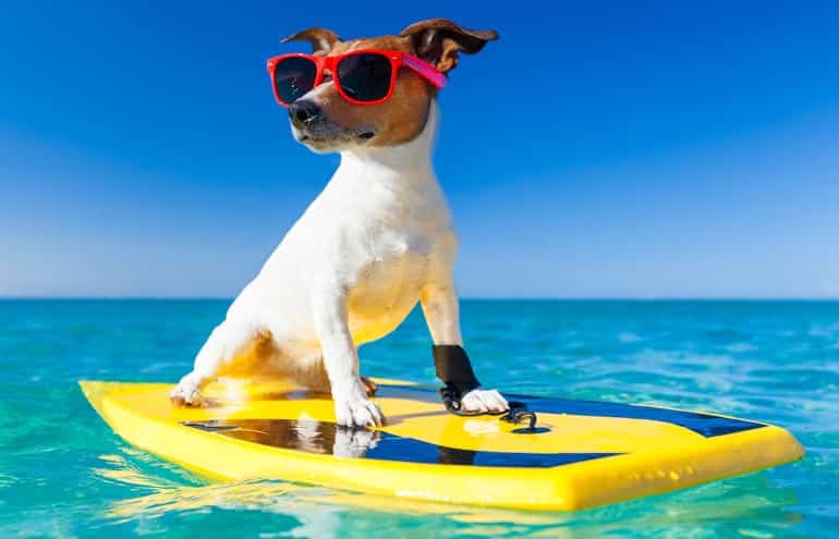 How to Take a Vacation | Attorney at Work