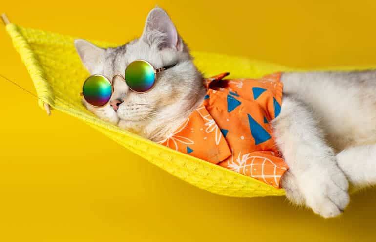 Wind-Down Ritual | 5 Steps to Prepare for a Successful Tomorrow